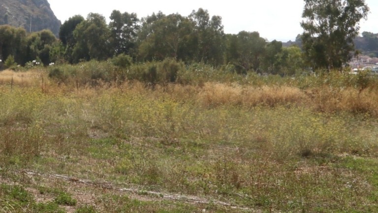 Καθαρισμός οικοπέδων: Λήγει στις 22 Ιουνίου η προθεσμία